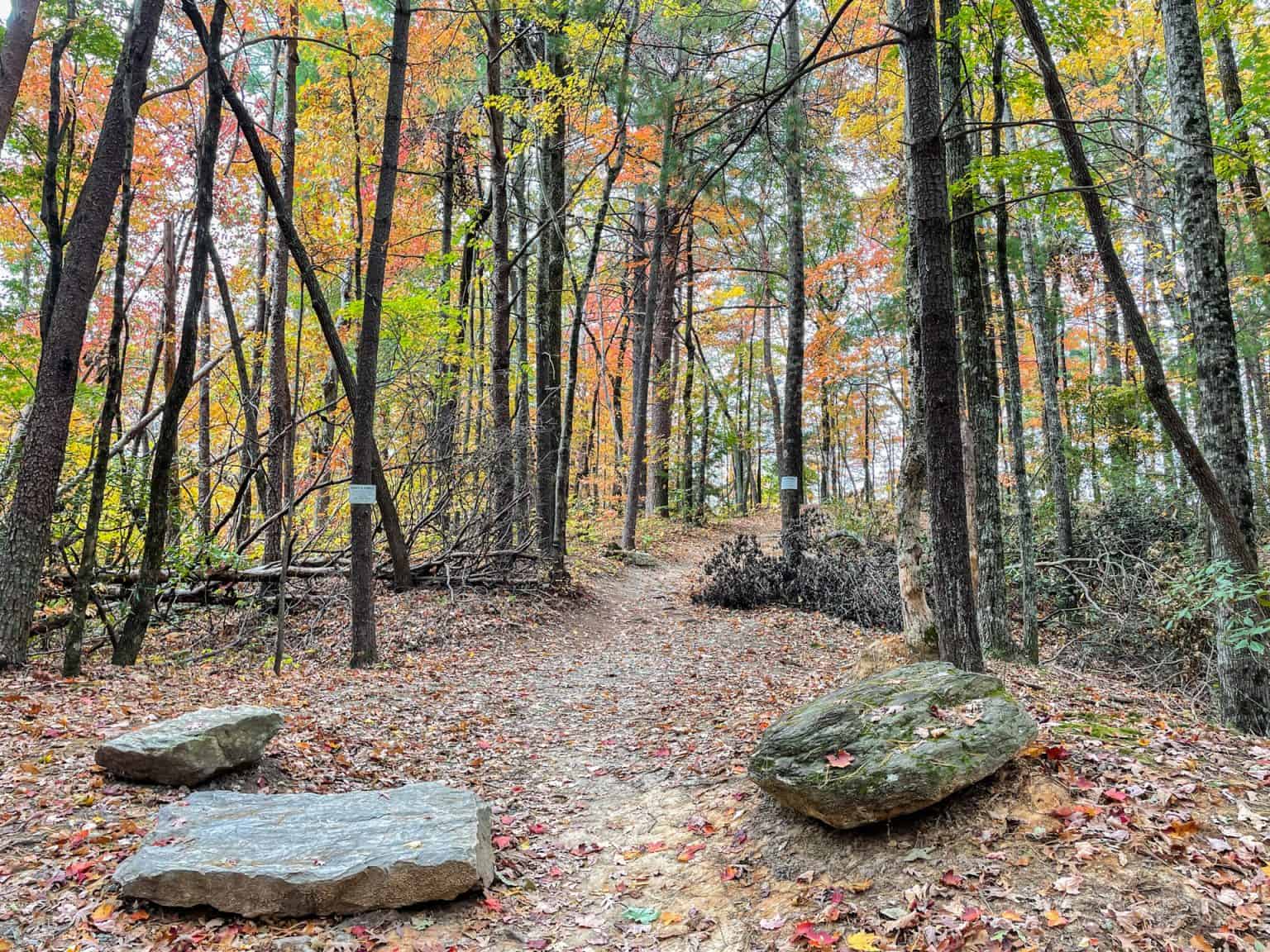 Jumping Off Rock Overlook Stunning Views