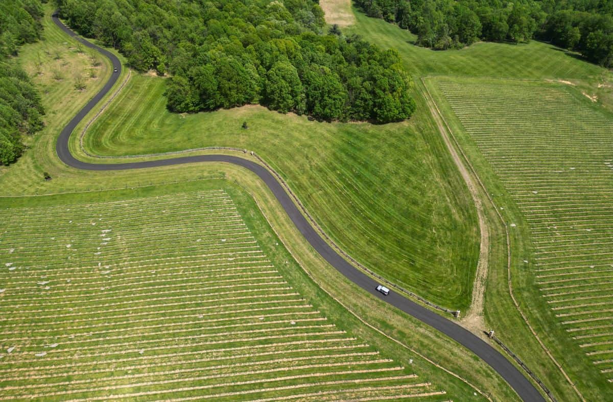 57 Incredible Wineries Near Charlotte NC (From A Local)