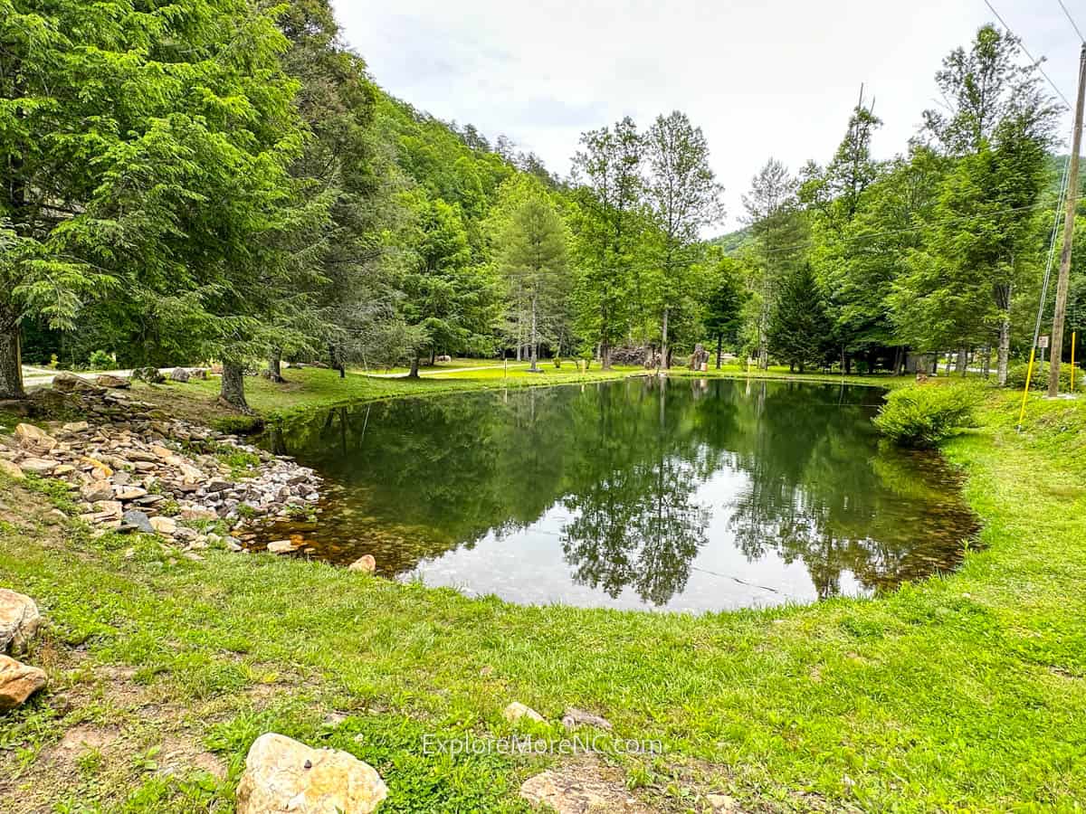 Mountain Stream RV Park & 10+ Great Things To Do Nearby