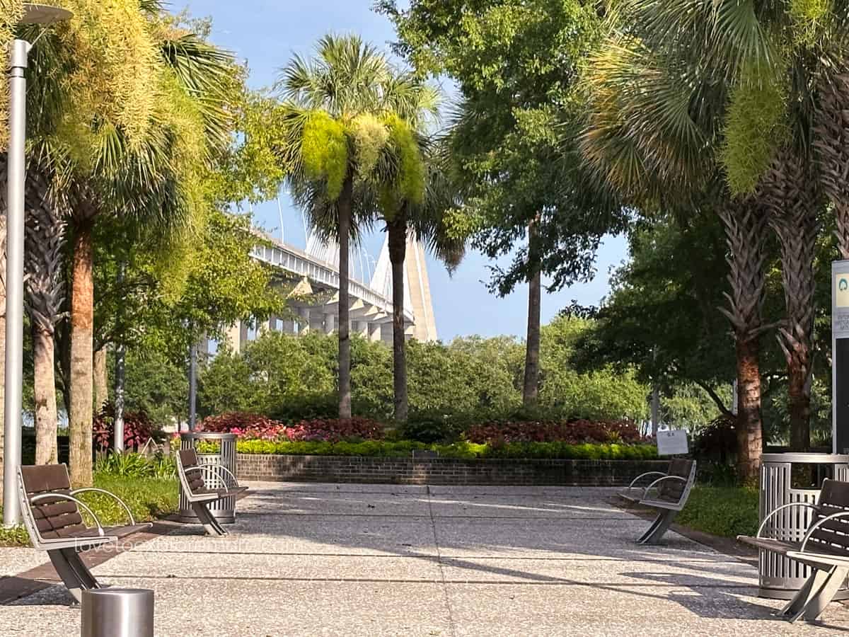 30+ Fun Things to Do in Mount Pleasant SC in 2024