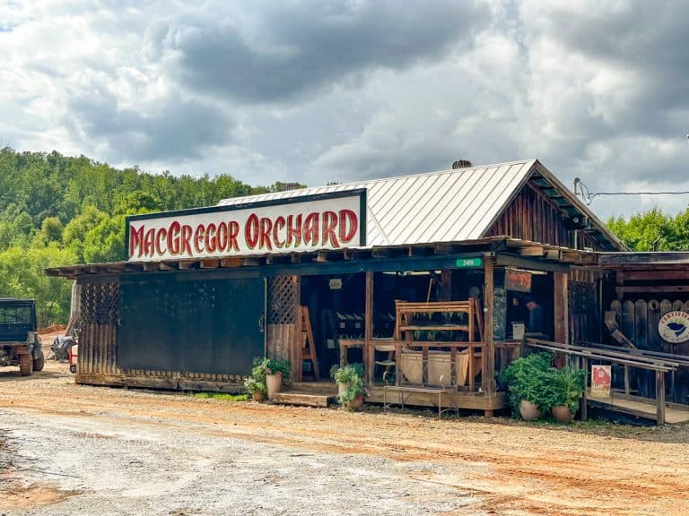 25+ Great Things to Do in Travelers Rest SC